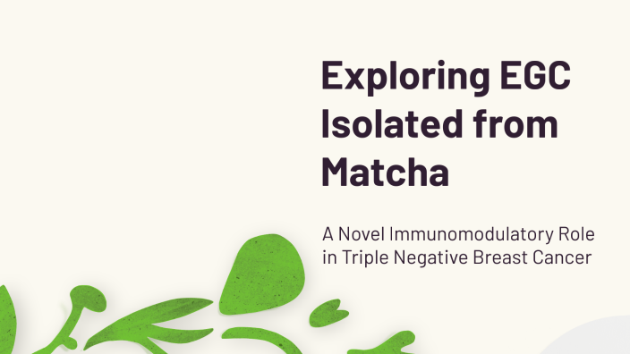 Exploring EGC Isolated from Matcha by Dana Seada on Prezi