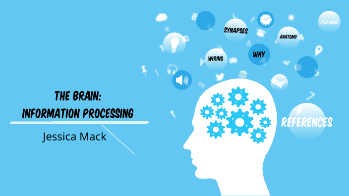 The Brain: Information Processing by Jessica Mack on Prezi