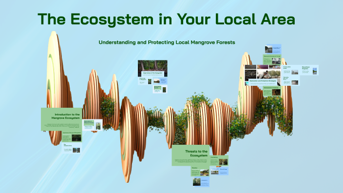 Protecting Our Local Mangrove Ecosystem by Anh Phan on Prezi