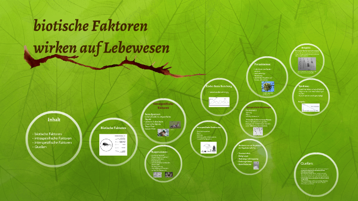 biotische Faktoren by Claudia Castillo on Prezi