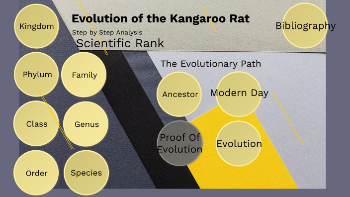 Evolution of the Kangaroo Rat by ali-sina kazemi on Prezi