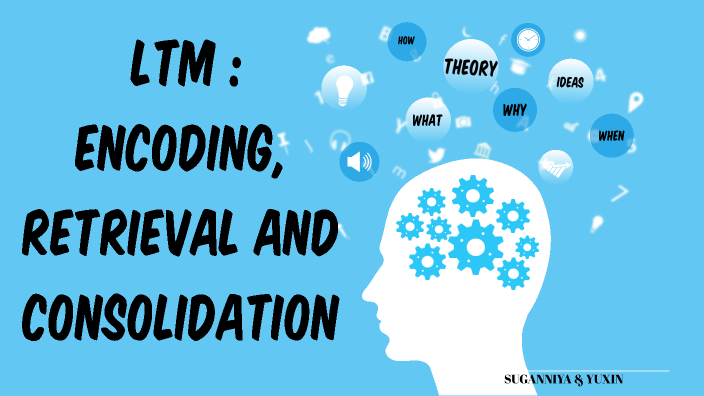 LTM : ENCODING, RETRIEVAL AND CONSOLIDATION by Suganniya Sekaran on Prezi