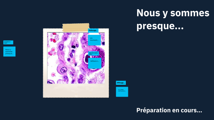 Phaeohyphomycose by z h on Prezi