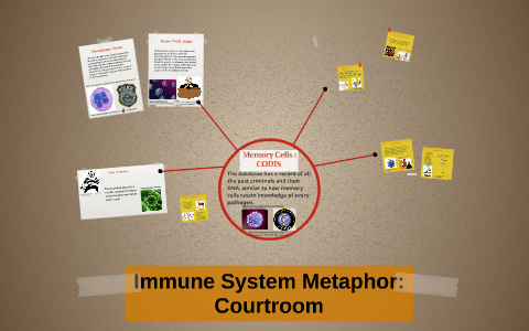Immune System Metaphor: Courtroom by Ericka Wu on Prezi