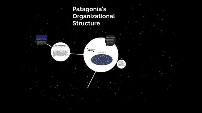 Patagonia's Organizational Structure by bryce powers on Prezi
