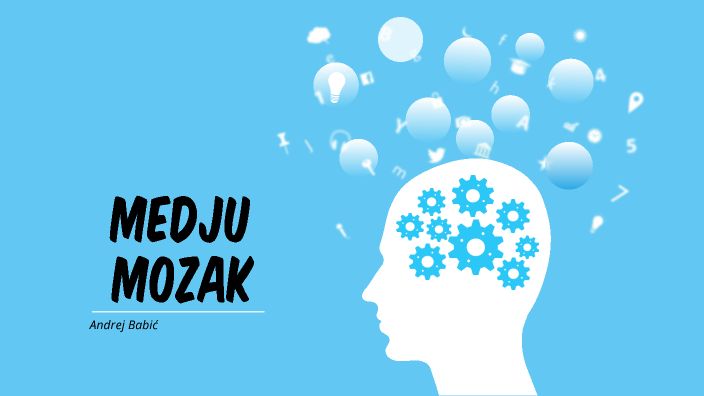 medju mozak by Korisnik 23 on Prezi