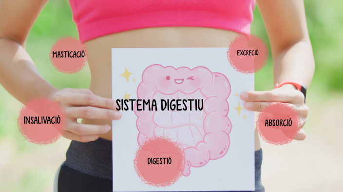 HUMAN DIGESTIVE SYSTEM by ANA LUÍS on Prezi