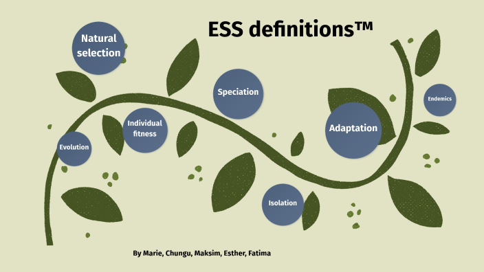 ESS - definitions by Marie Holá on Prezi