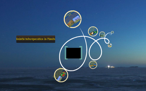Stan Alexandru - Relatii Interspecifice la Plante by tatuc victoria on ...