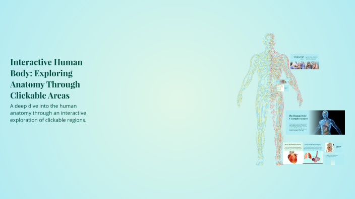 Interactive Human Body: Exploring Anatomy Through Clickable Areas by ...