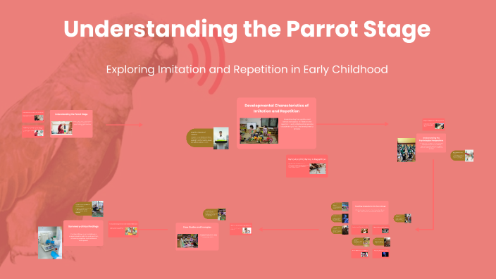 Understanding the Parrot Stage by Swaathi R on Prezi