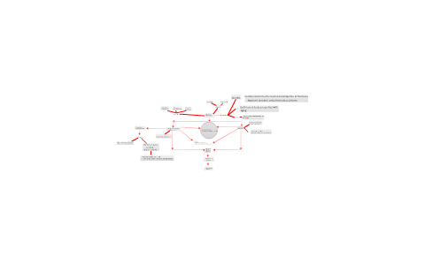 Bone Concept map by Sanjay Dialani