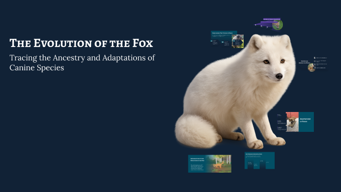 The Evolution of the Fox by Joel Gilster on Prezi