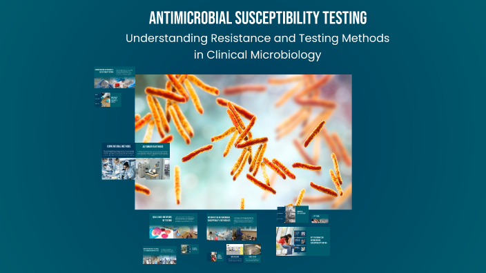 Antimicrobial Susceptibility Testing by طيبة حيدر on Prezi