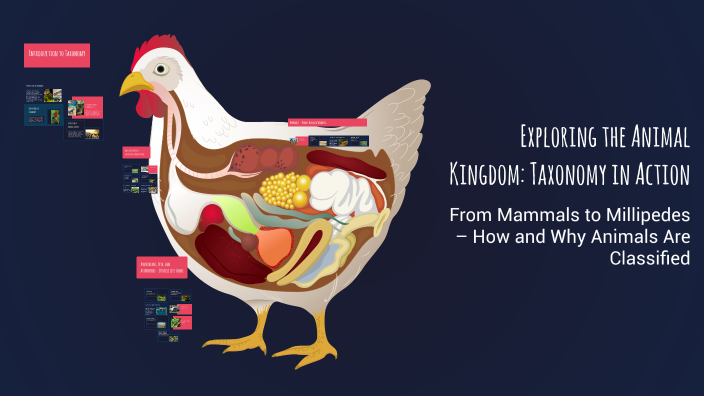 Exploring the Animal Kingdom: Taxonomy in Action by Lucas Miller on Prezi