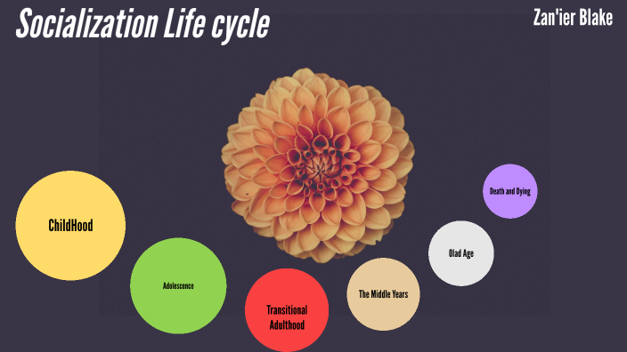 Socialization Life cycle by Zan'ier Blake on Prezi