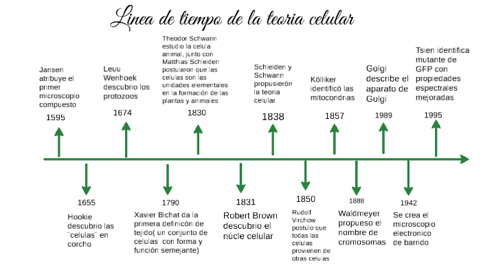 Linea de tiempo de la teoría celular by Karime Gutierrez on Prezi