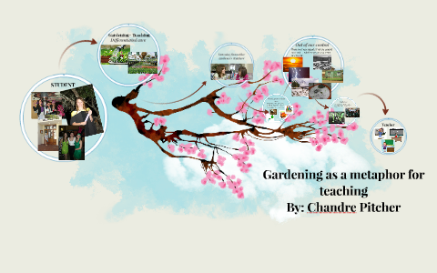 Gardening as a metaphor for teaching by Chandre Pitcher on Prezi
