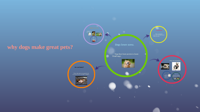 why dogs make great pets? by Cheri Mikesell on Prezi
