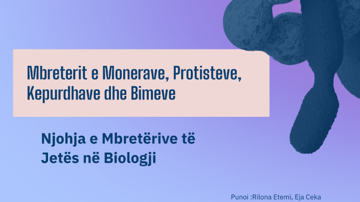 Mbreterit e Monerave, Protisteve, Kepurdhave dhe Bimeve by rilona etemi ...