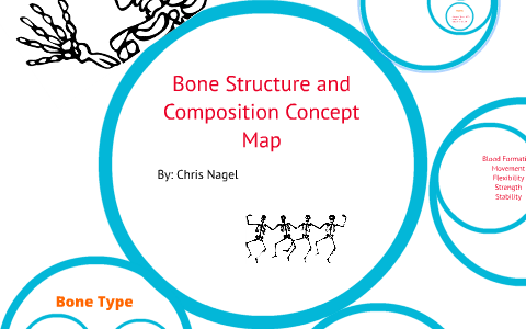 Bone Structure and Composition Concept Map by Chris Bagel on Prezi
