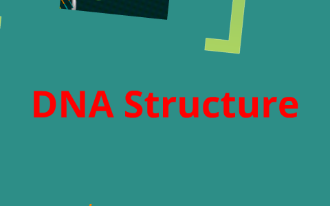 DNA Structure by Taylor Angelini on Prezi
