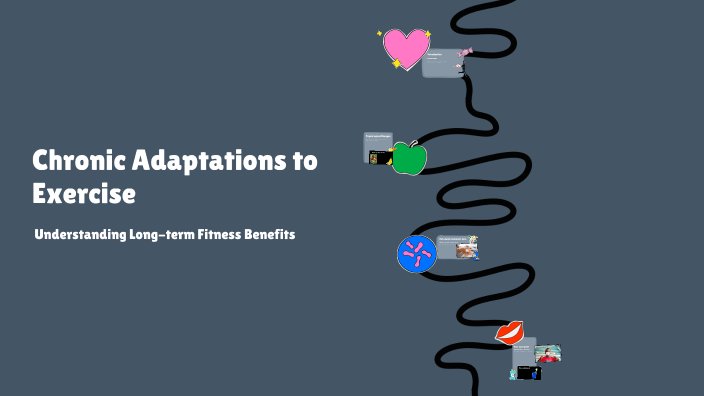 Chronic Adaptations to Exercise by Grace Antonopoulos on Prezi