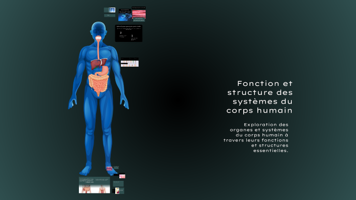 Fonction et structure des systèmes du corps humain by Zoe Barclay ...