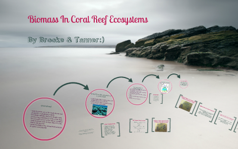 Biomass In Coral Reef Ecosystems! by Tanner Schonasky on Prezi