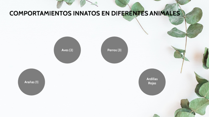 Comportamientos Innatos by Franco Tomaselli on Prezi