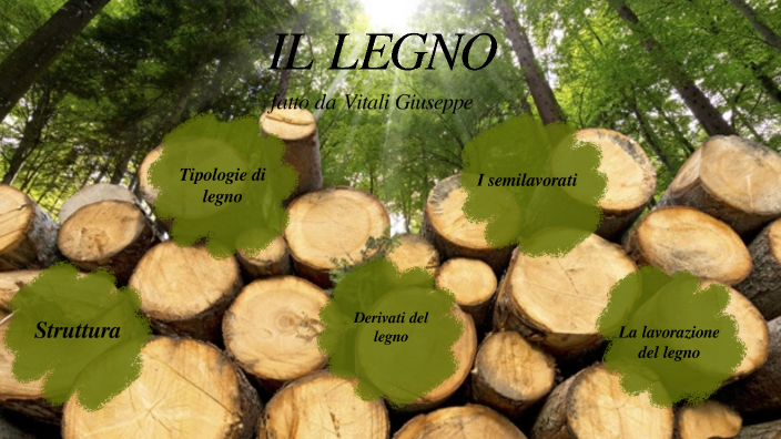 IL LEGNO by giuseppe vitali on Prezi