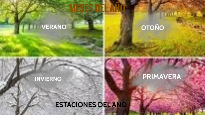 Estaciones Del Año By Lizz Hernàndez On Prezi