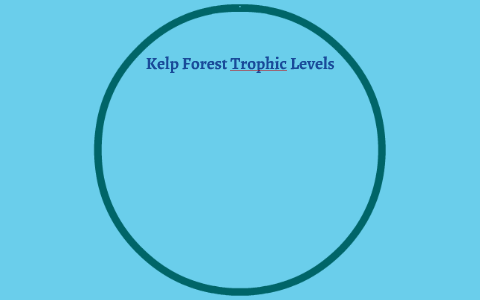 Kelp Forest Trophic Levels by Katie K on Prezi