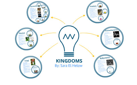 Kingdoms Mind-Map by s elhelow on Prezi