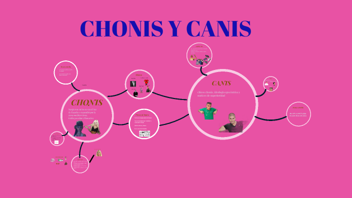 Chonis y canis by Irene Lara Lopez on Prezi