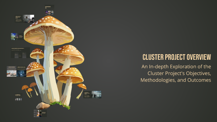 Cluster Project Overview by Abhijeet Naik on Prezi