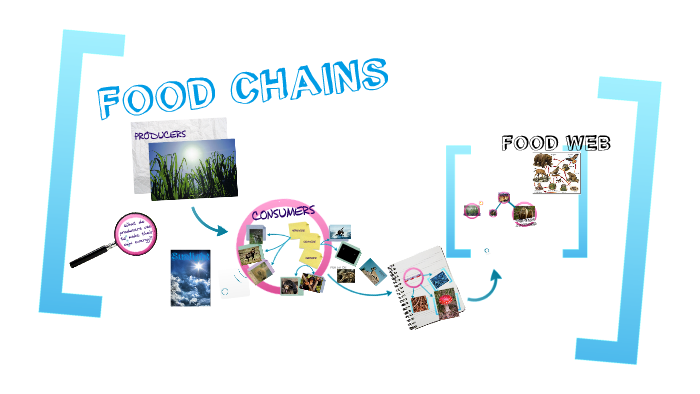 Grade 4 Food Chains by Justin Rajala on Prezi