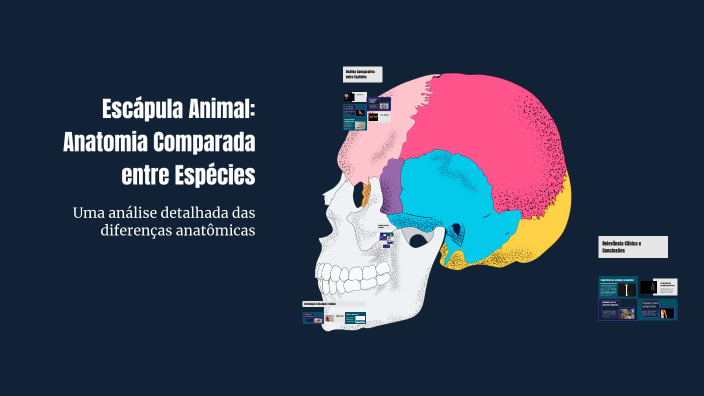 Escápula Animal: Anatomia Comparada entre Espécies by M L on Prezi