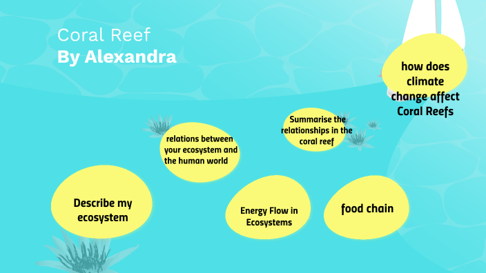 Coral Reef by alexandra koehne on Prezi