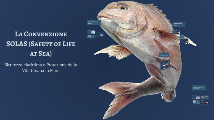 La Convenzione SOLAS (Safety of Life at Sea) by Gabriel Modarelli on Prezi