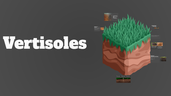 Vertisoles: Características y Clasificación by Fabricio Ismael Leon ...