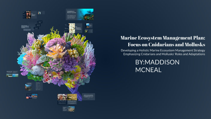 Marine Ecosystem Management Plan: Focus on Cnidarians and Mollusks: By ...