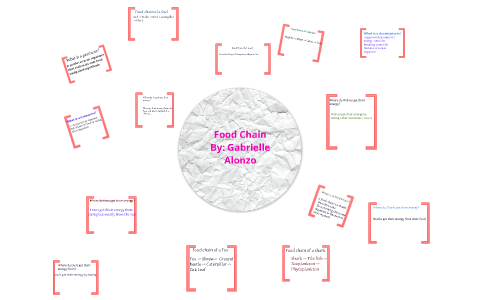Food Chain by Gabrielle Alonzo on Prezi