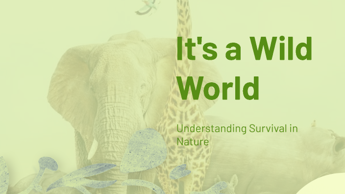 It's a Wild World by Isaac González on Prezi
