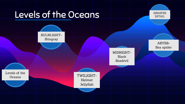 Levels of the Ocean by Aashini Selvam on Prezi