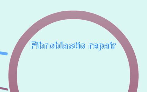 Fibroblastic repair by Bethany wood on Prezi