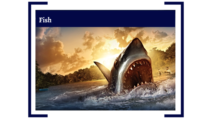 Cartilaginous Fish by Matthew Warren` on Prezi
