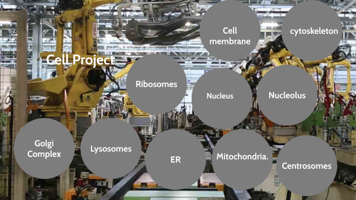 Factory Cell project by Everton Smith Jr on Prezi