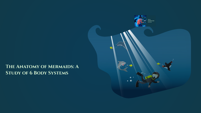 The Anatomy of Mermaids: A Study of Body Systems by Elianna Alvarez on ...