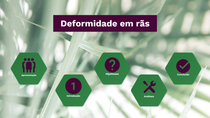 Bioestat 2 by Camilli Berlofa Andrade on Prezi